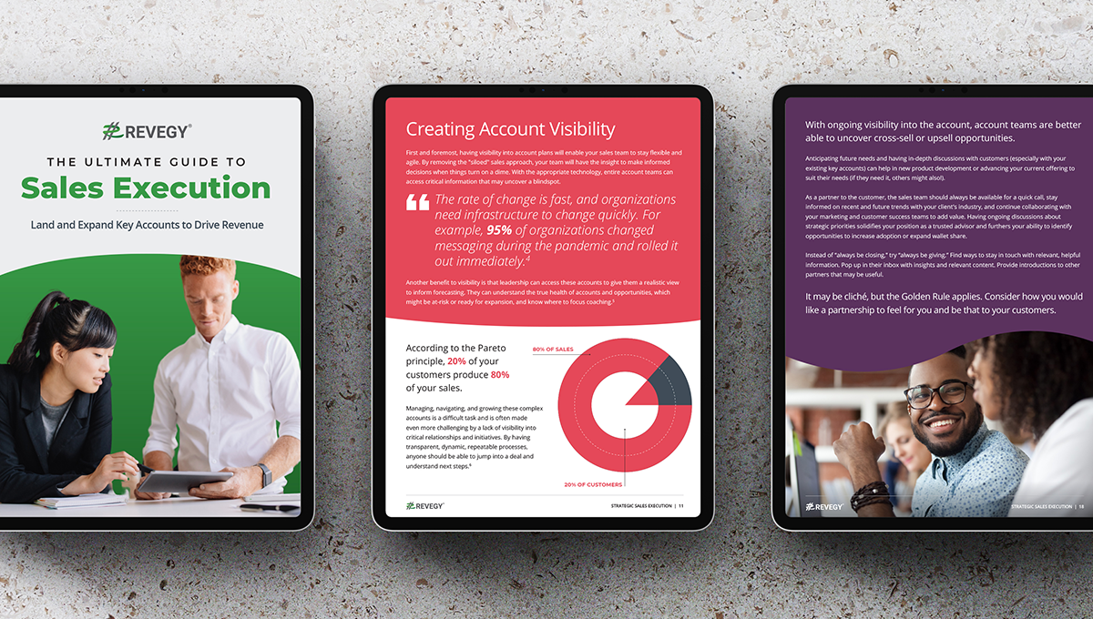 Thank You | The Ultimate Guide to Sales Execution | Revegy